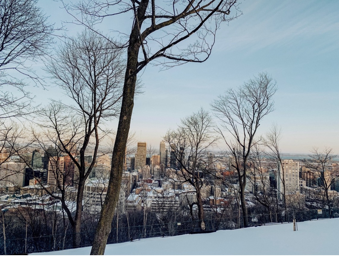 Spring Break Sights – The Currier Times